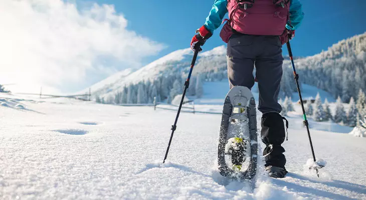 Choisir Ses Raquettes à Neige Nos Conseils Pratiques